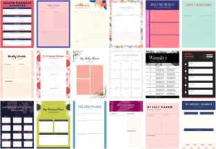 40+ Sites like Canva: Best Alternatives (Free & Paid) - Design Hub