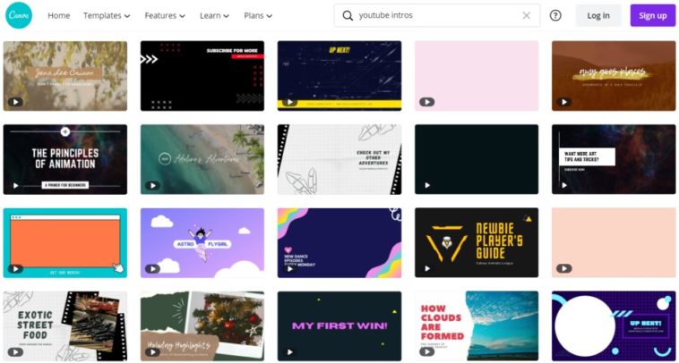 Crello vs Canva: Which is The Best? - Design Hub