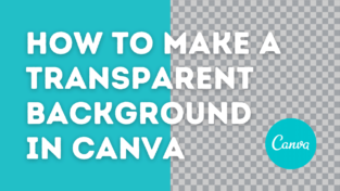 How to Make a Transparent Background in Canva - Design Hub