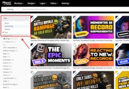 How To Use Placeit: Tutorial For Beginners - Design Hub