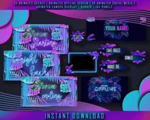 50+ OBS Overlays (Free & Paid Templates For Your Livestreams)