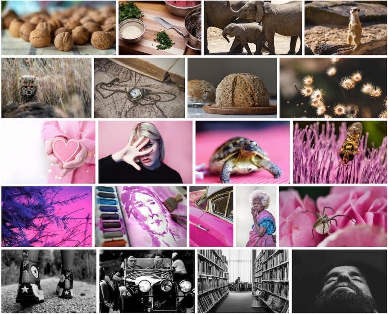 14+ Amazing Free Stock Photo Websites - Design Hub